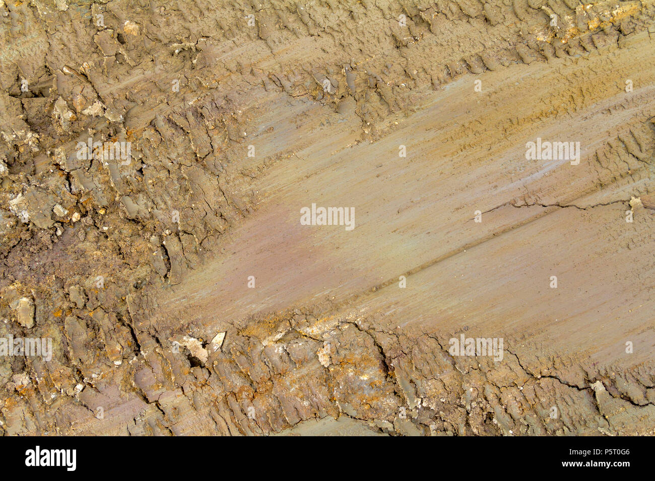 beautiful colored full frame abstract soil structure Stock Photo - Alamy
