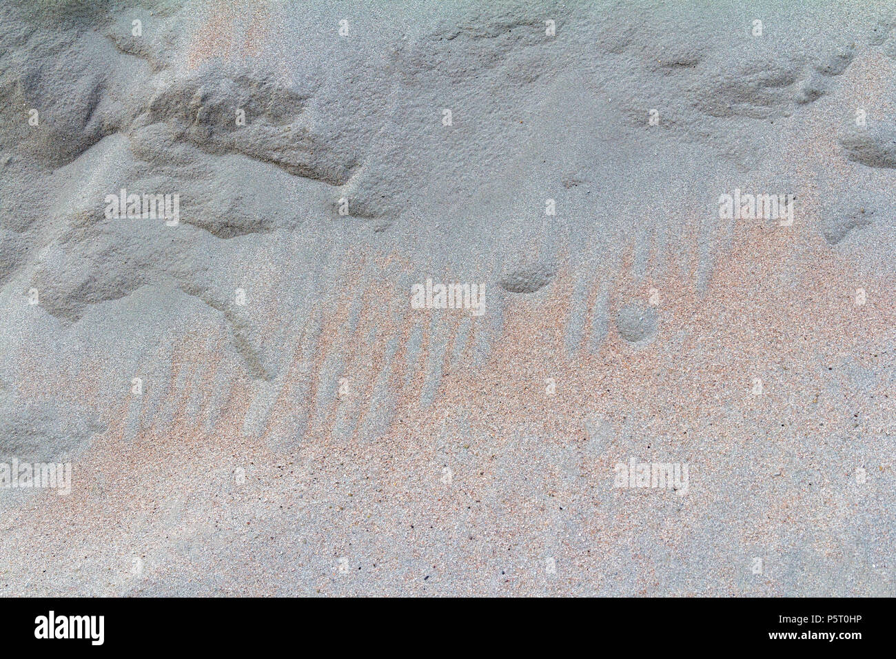 beautiful colored full frame abstract sand structure Stock Photo - Alamy