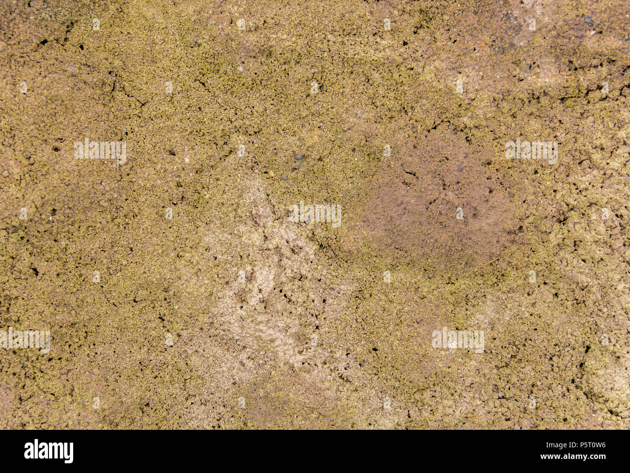 beautiful colored full frame abstract soil structure Stock Photo - Alamy