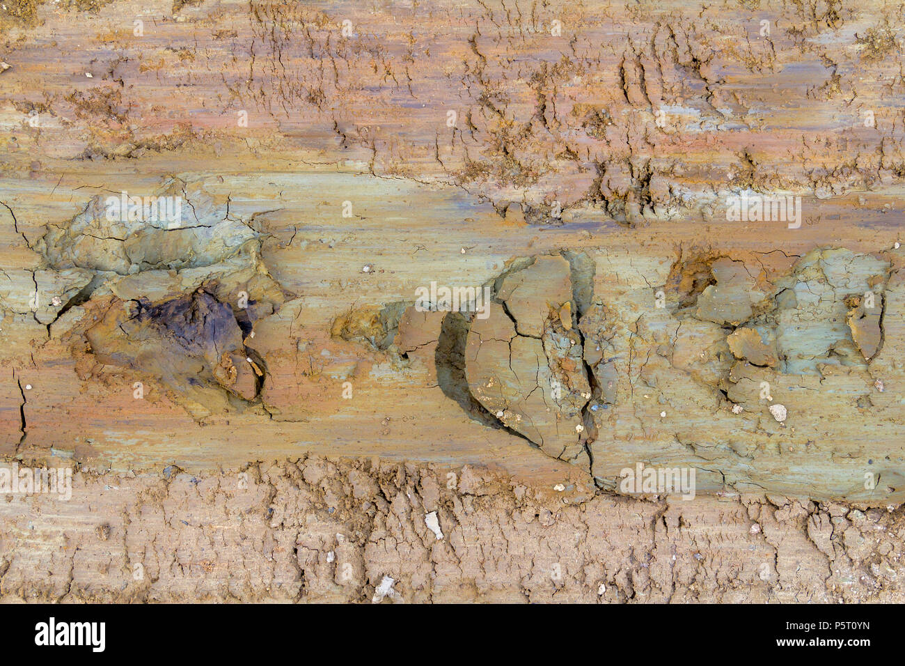 beautiful colored full frame abstract soil structure Stock Photo - Alamy