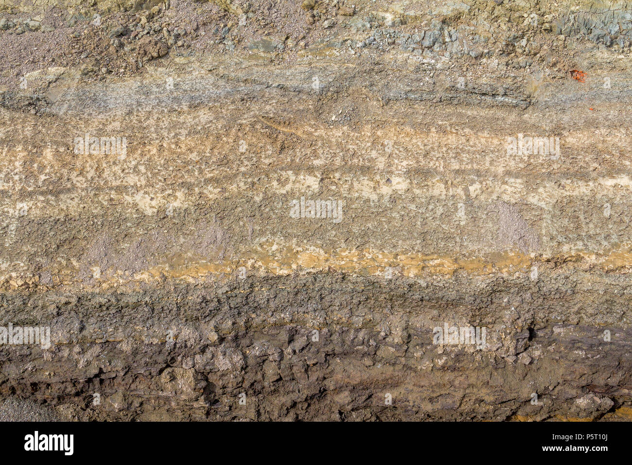 Soil structure hi-res stock photography and images - Alamy