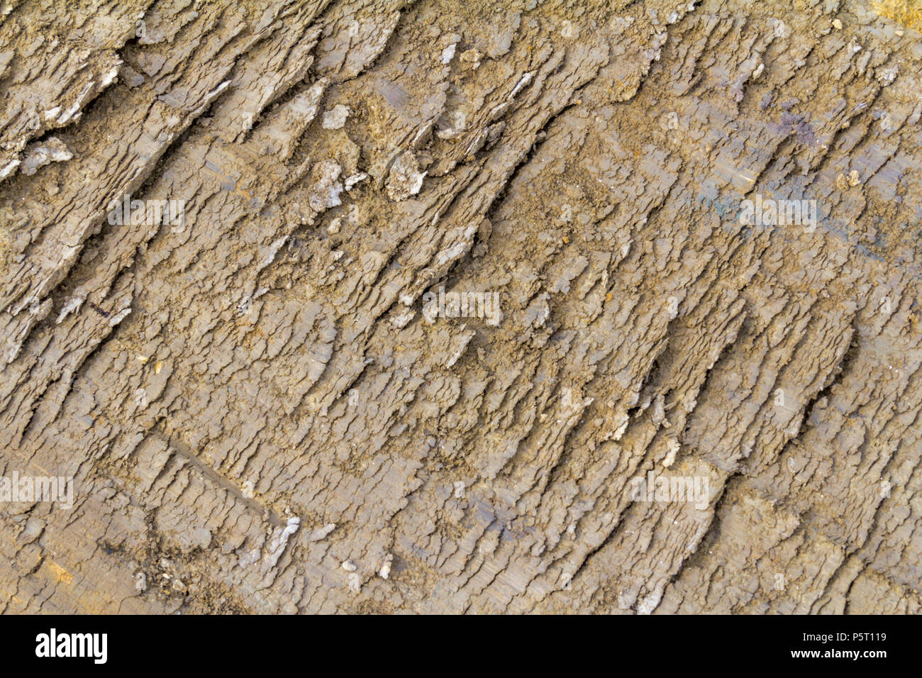 Fissured clay texture hi-res stock photography and images - Alamy