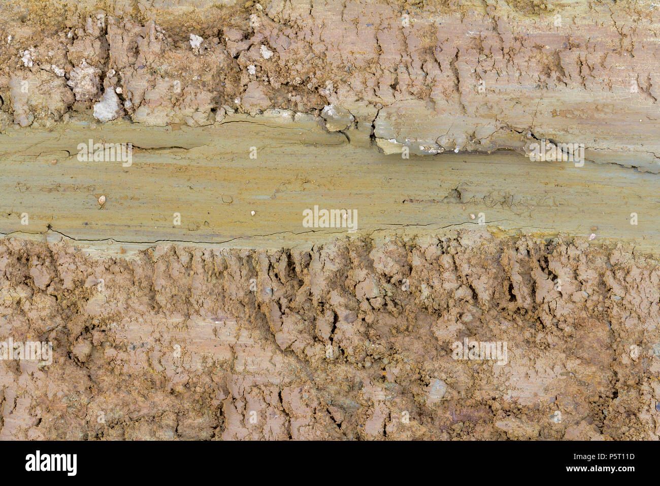 beautiful colored full frame abstract soil structure Stock Photo - Alamy