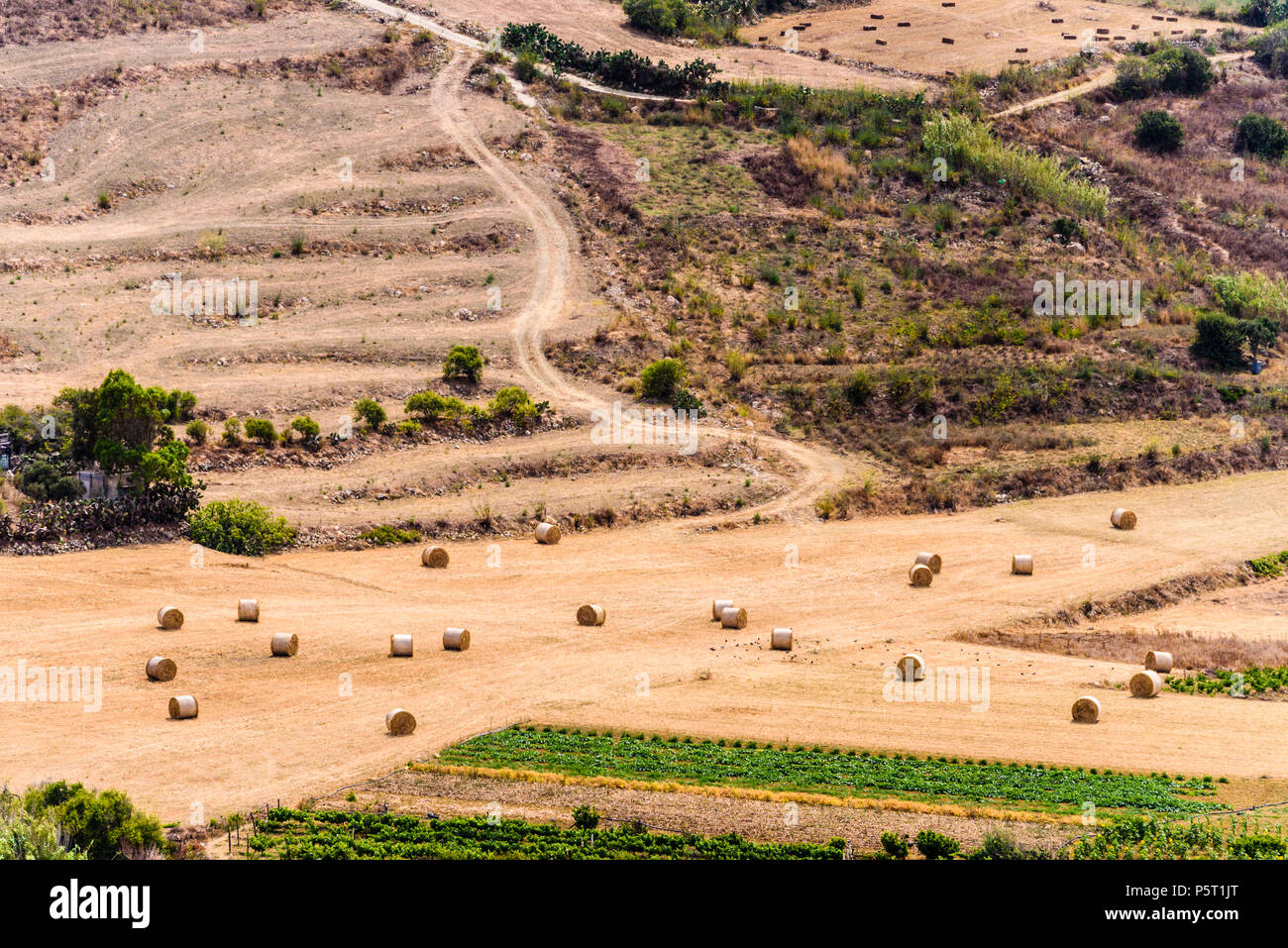 Bales of hay in a field in Gozo, Malta Stock Photo - Alamy