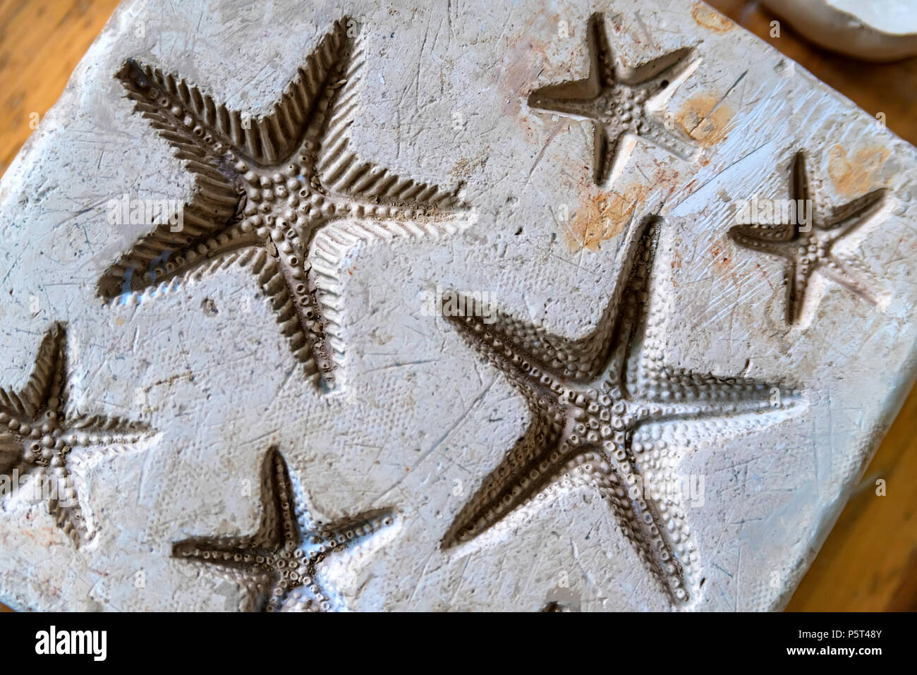 Clay imprints of starfish Stock Photo - Alamy