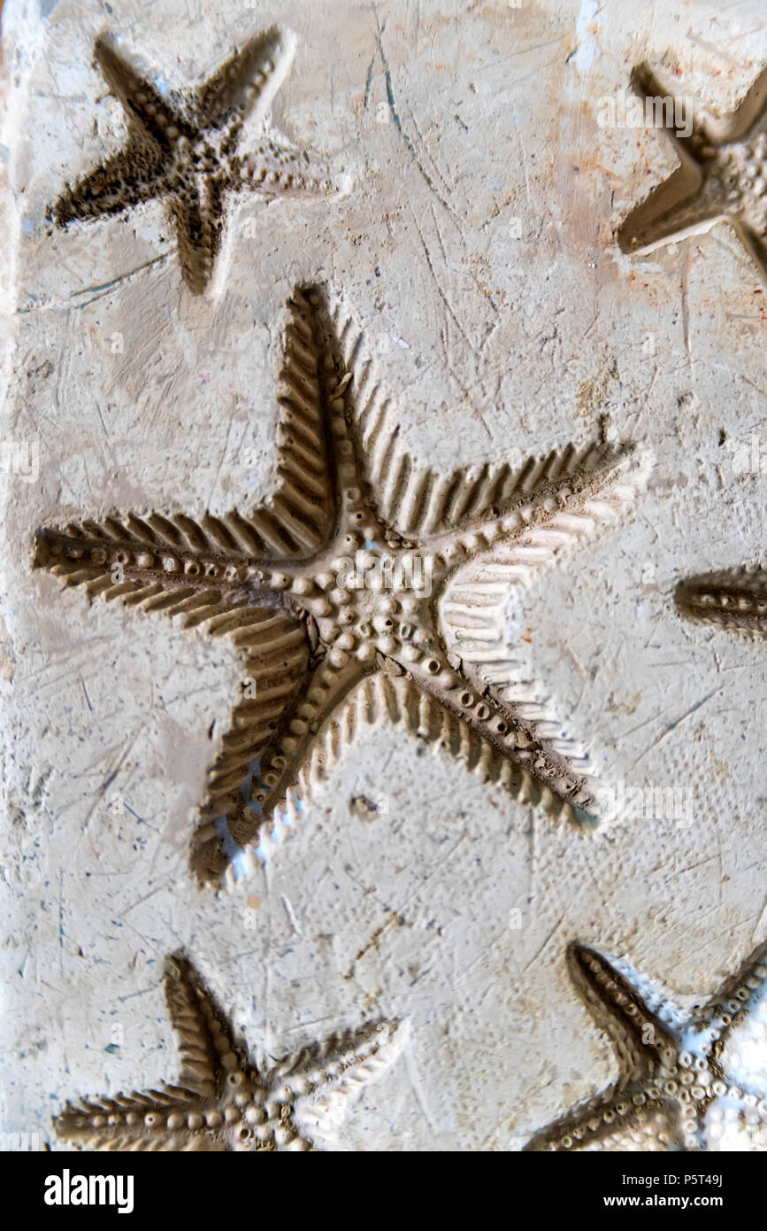 Clay imprints of starfish Stock Photo - Alamy