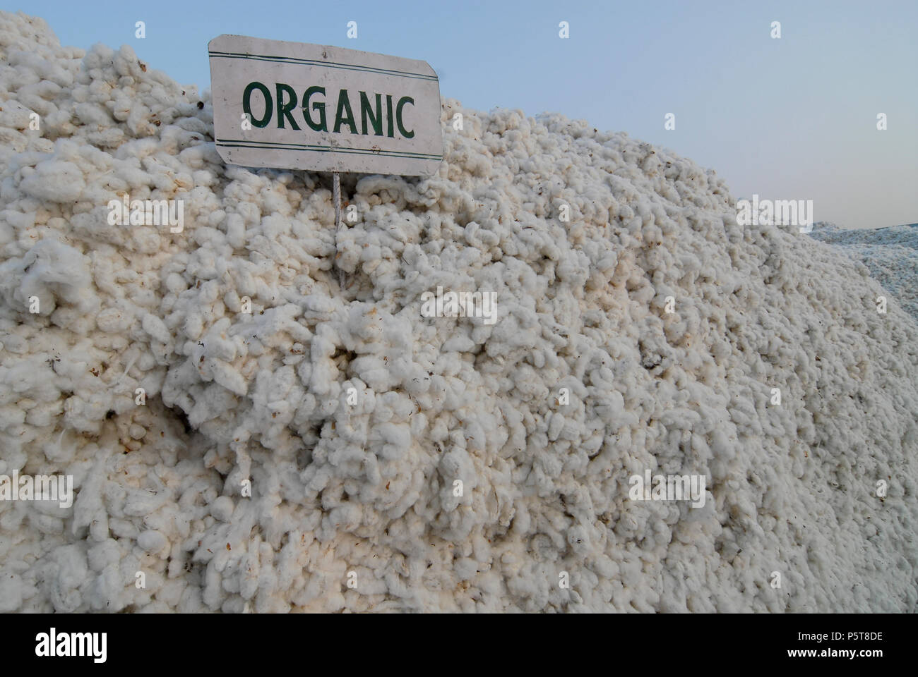 India pradesh storage place organic hi-res stock photography and images ...