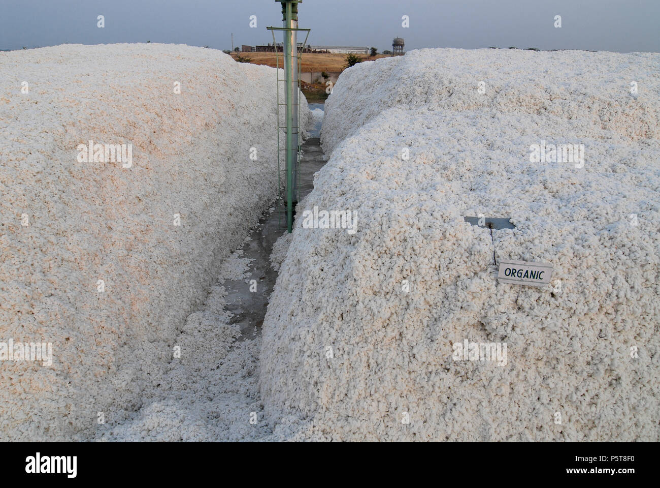 Biocotton hi-res stock photography and images - Alamy