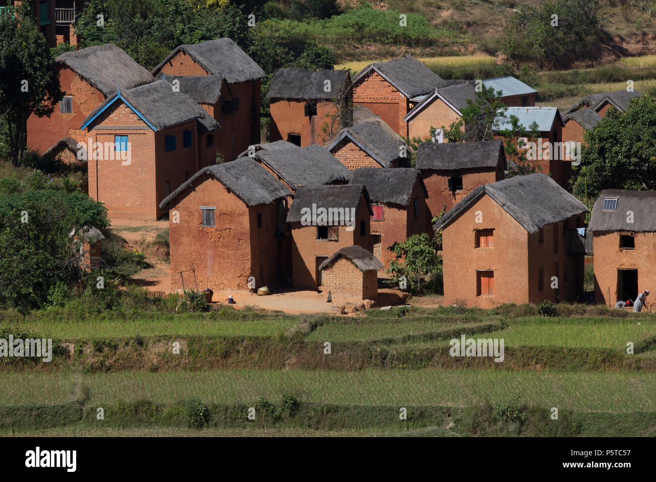 Rural indian village shop hi-res stock photography and images - Alamy