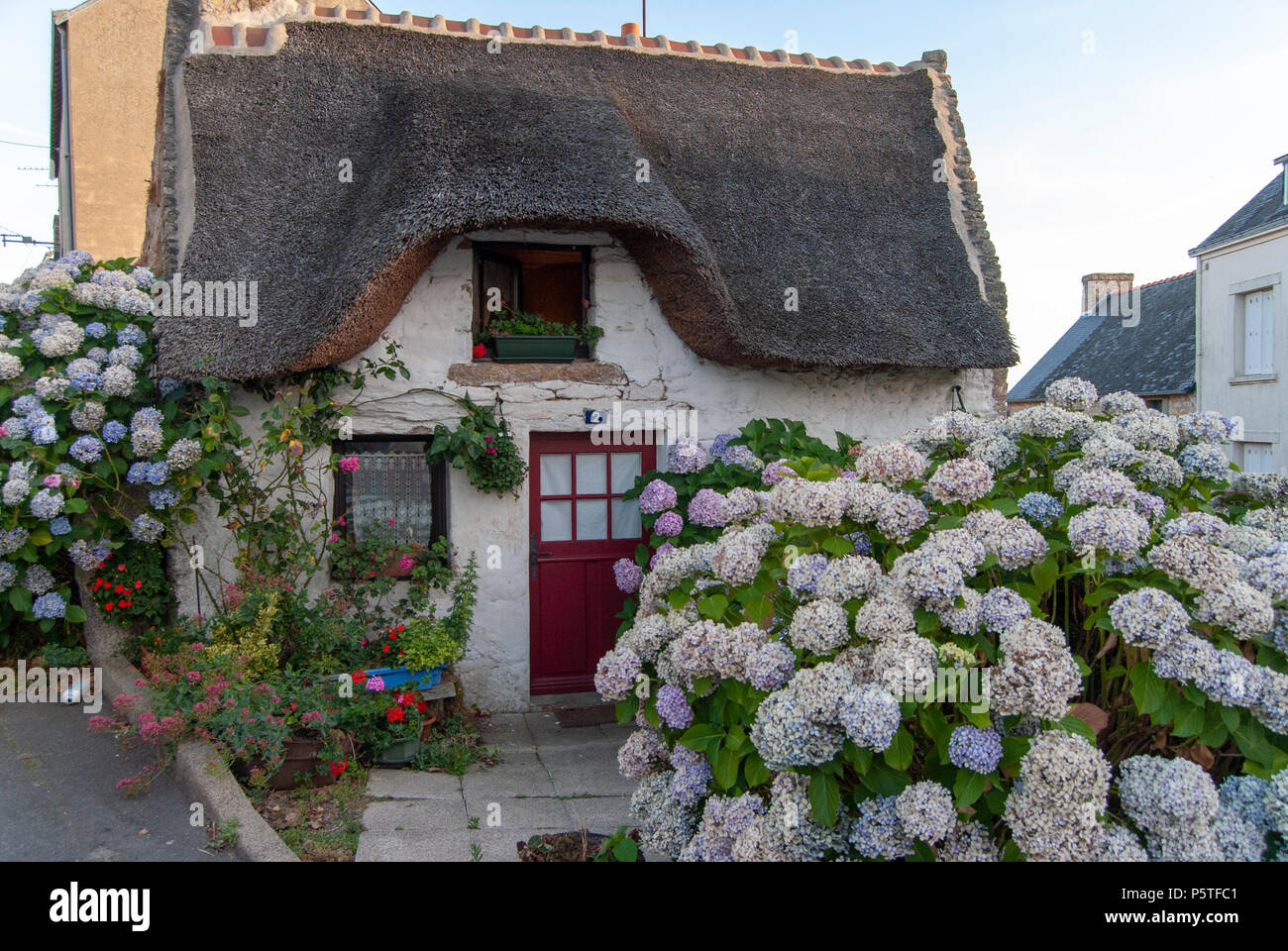 Old medieval traditional thatched Breton Cottage with a garden of ...