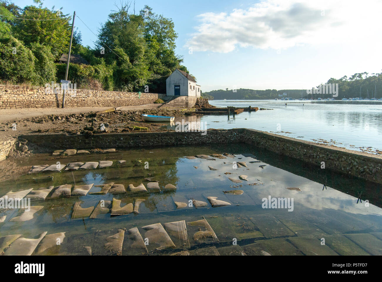 View of theoyster beds at the hamlet of Belon - renowned throughout ...