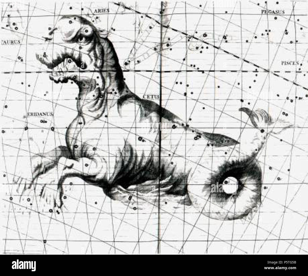 Cetus Stock Photos & Cetus Stock Images - Alamy