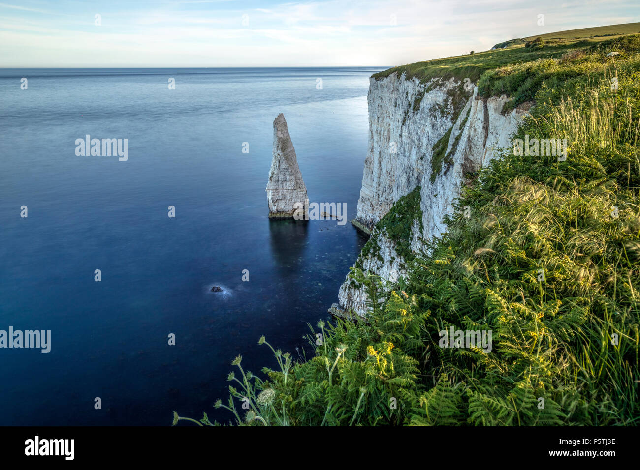 Old Harry Rocks, Dorset, England, UK Stock Photo - Alamy