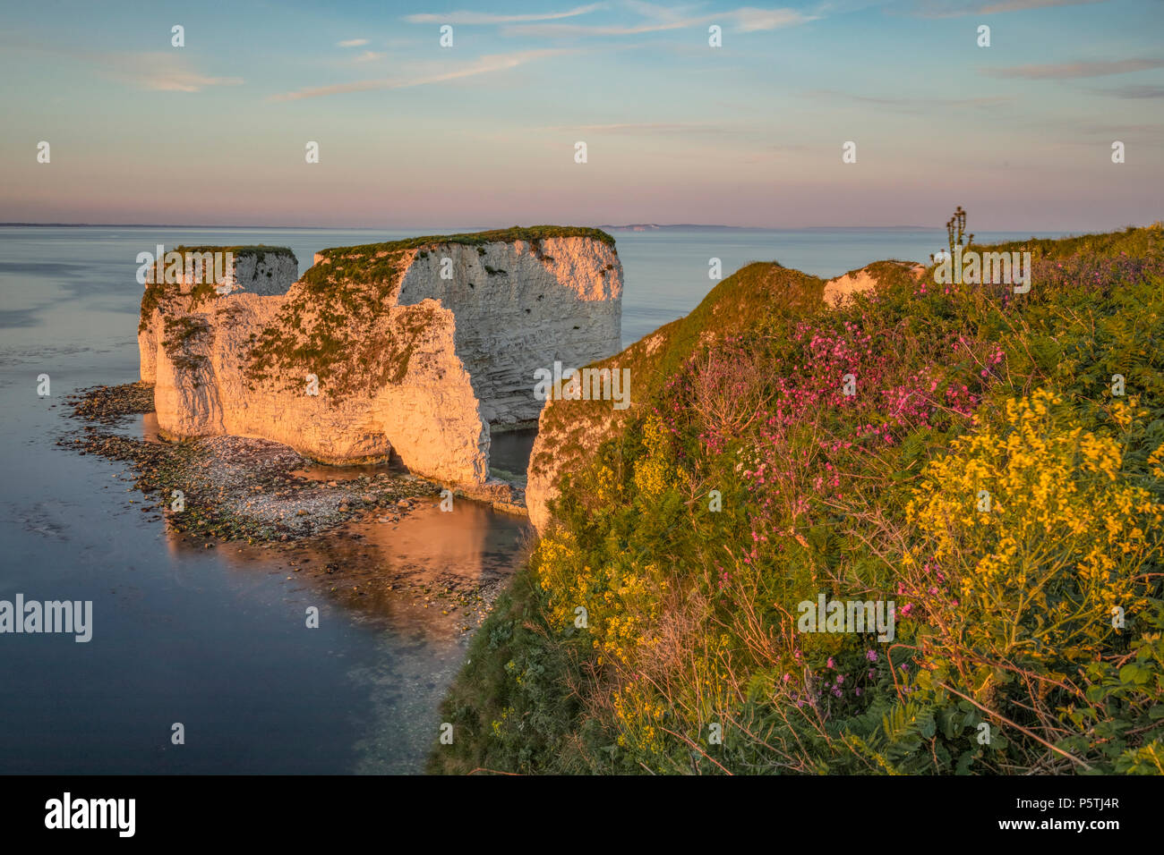 Old Harry Rocks, Dorset, England, UK Stock Photo - Alamy