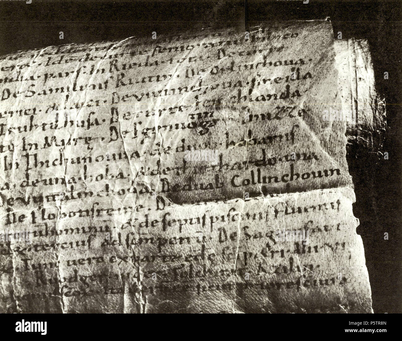 Rotulus hi-res stock photography and images - Alamy