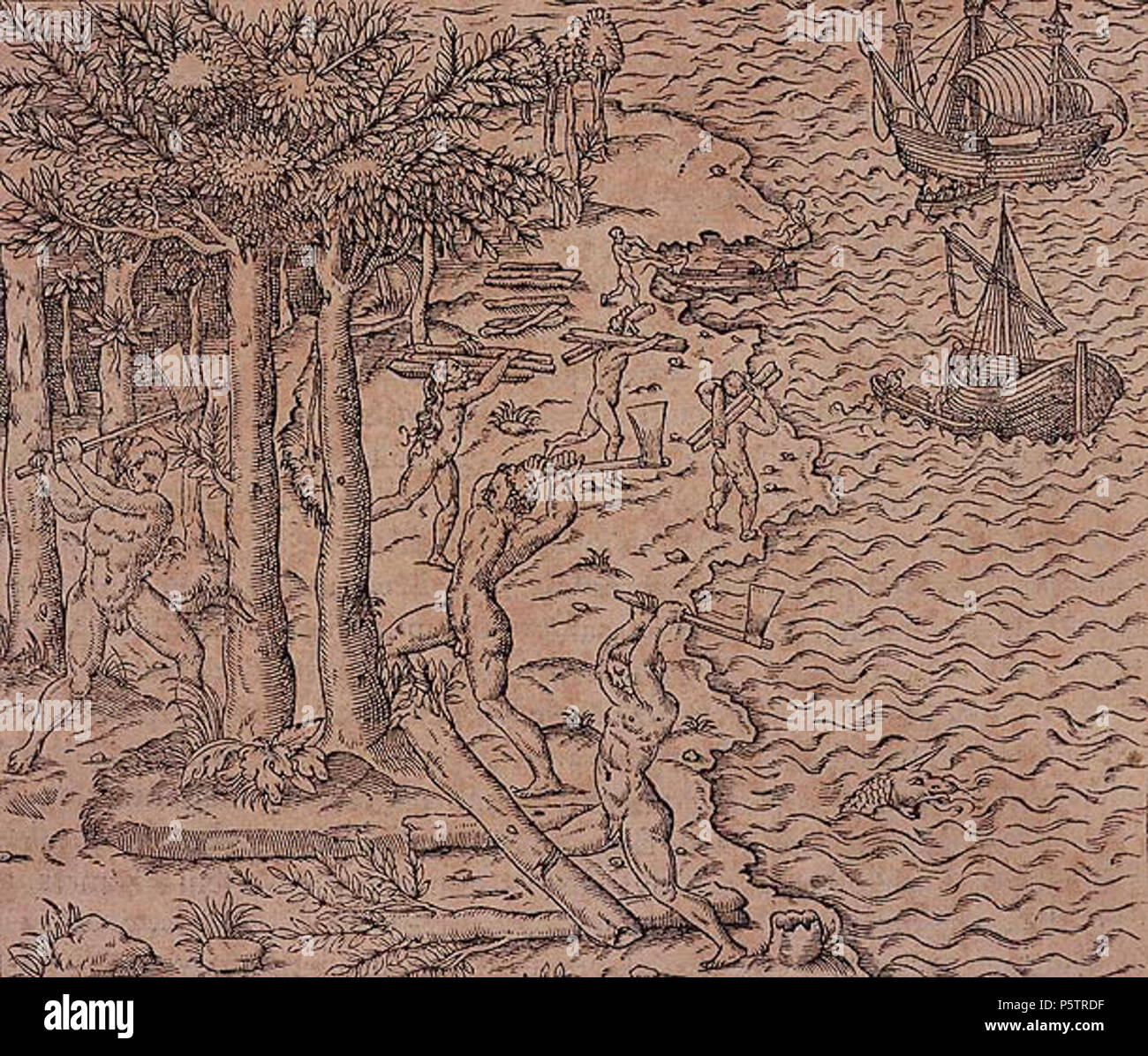 Universal cosmography andré thevet hi-res stock photography and images ...