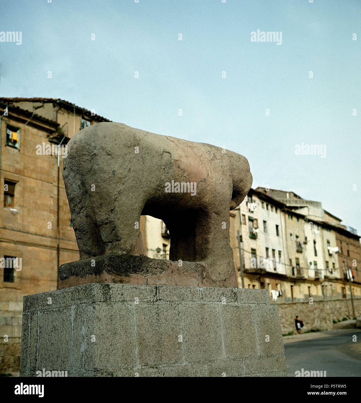 TORO IBERICO - VERRACO. Location: EXTERIOR, SPAIN Stock Photo - Alamy