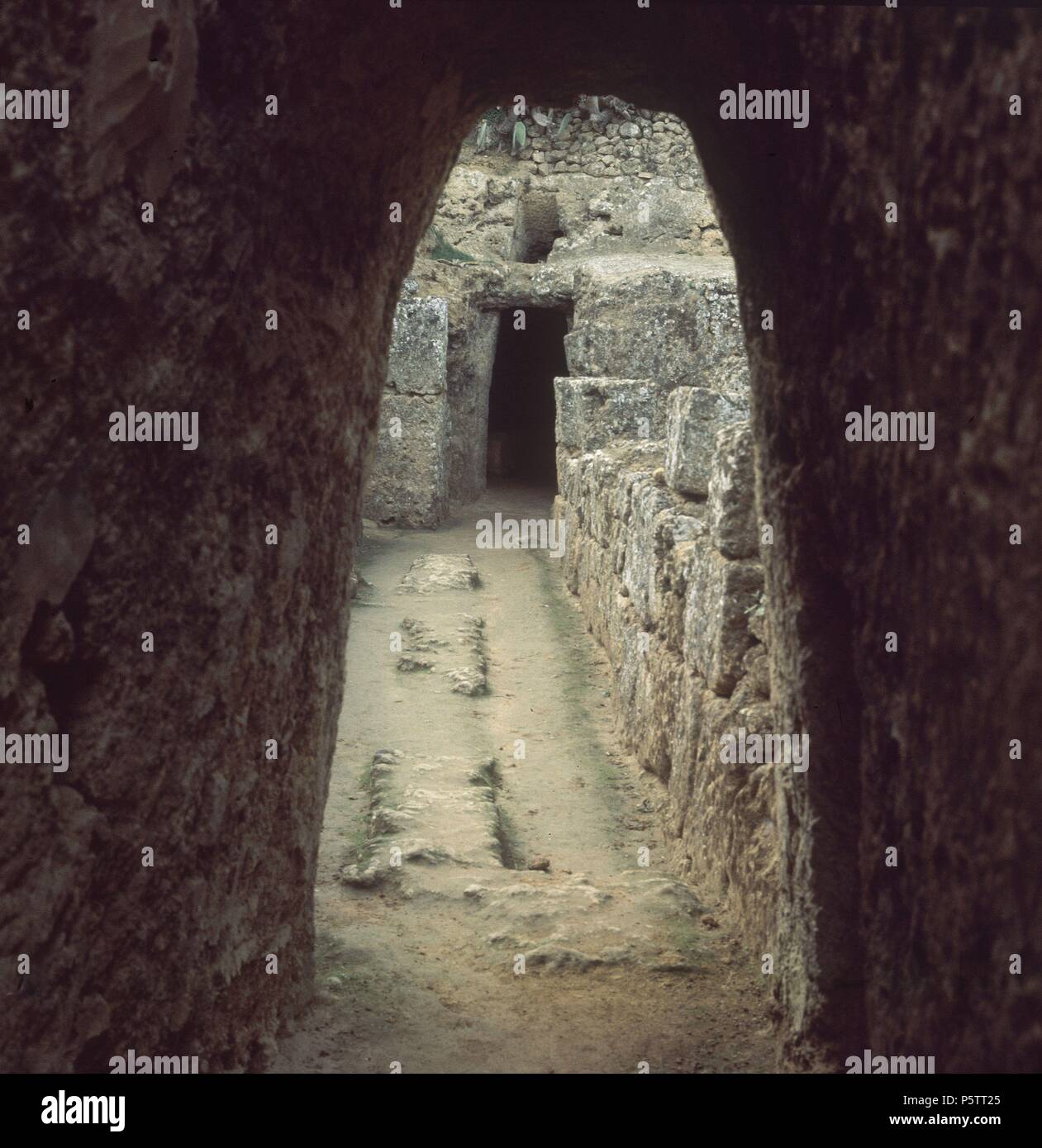 VISTA DESDE EL INTERIOR DEL COLUMBARIO. Location: NECROPOLIS ROMANA ...