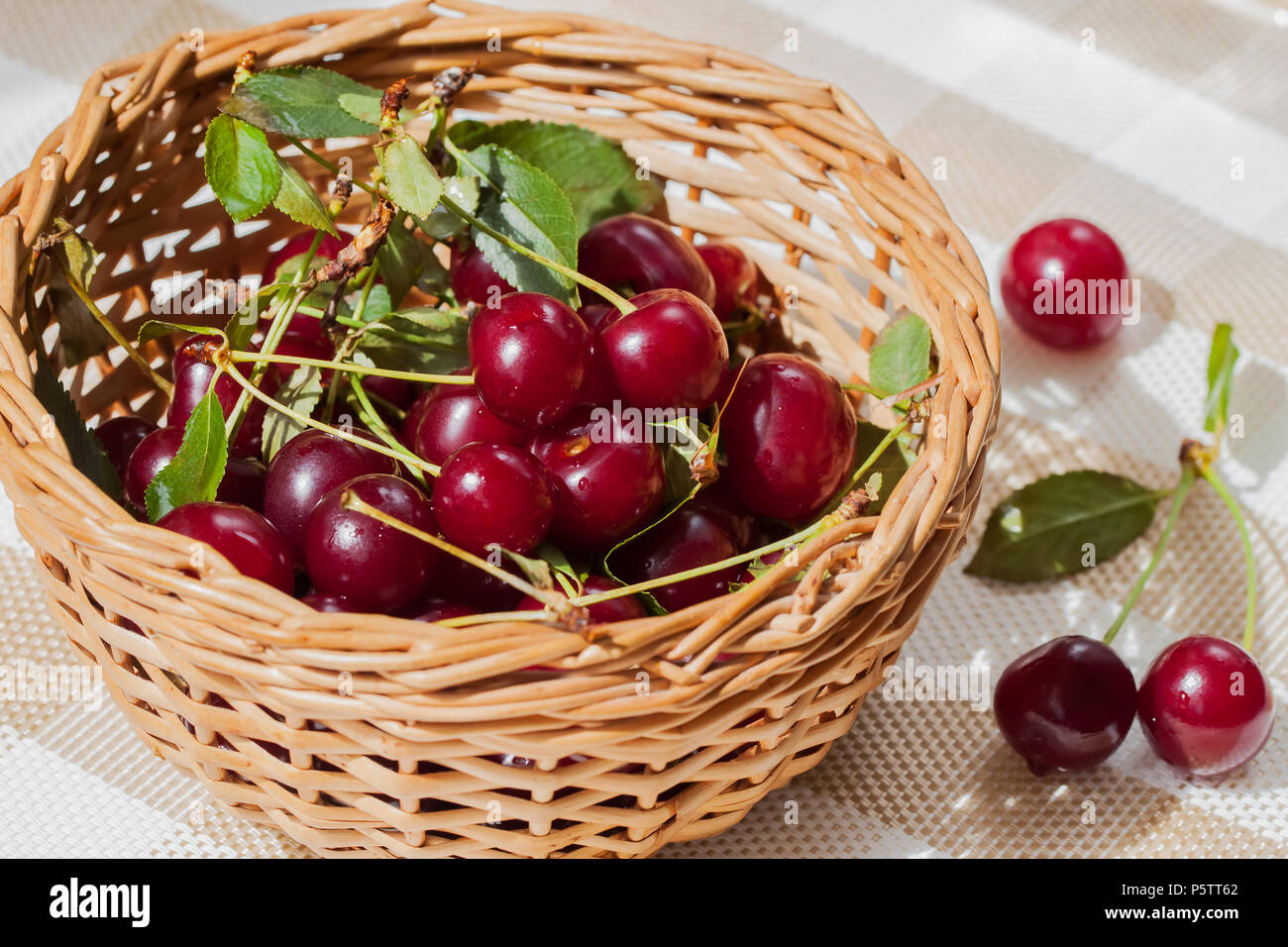 Cherry is one of the best diet products Stock Photo - Alamy