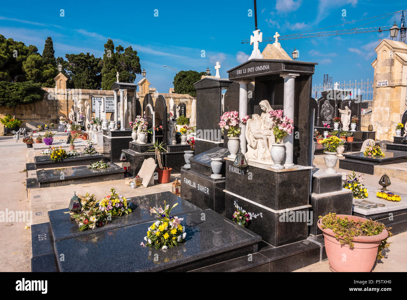 Maltese gravestone hi-res stock photography and images - Alamy