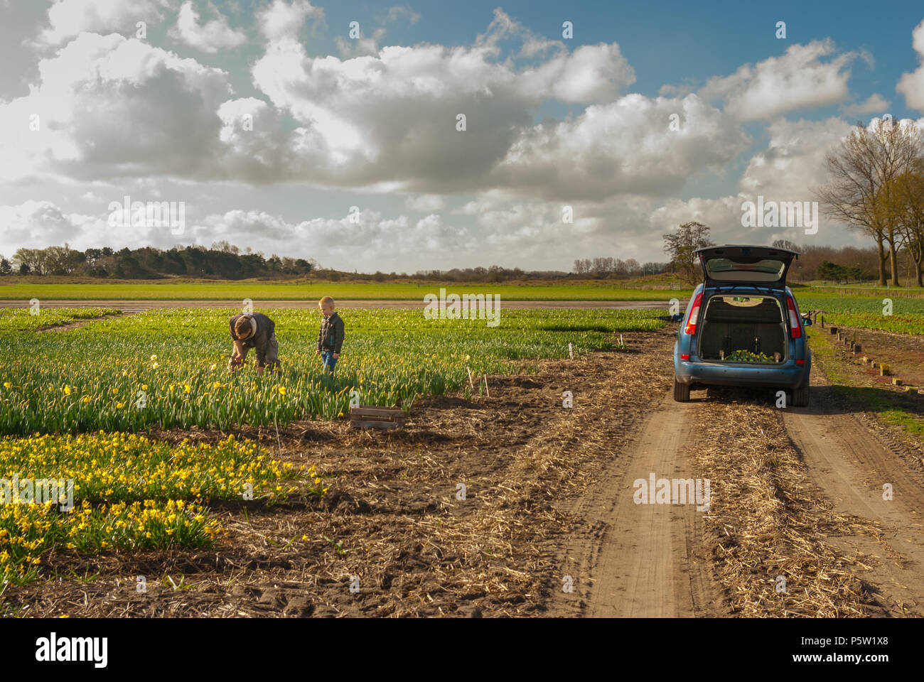 Children working in fields hi-res stock photography and images - Alamy