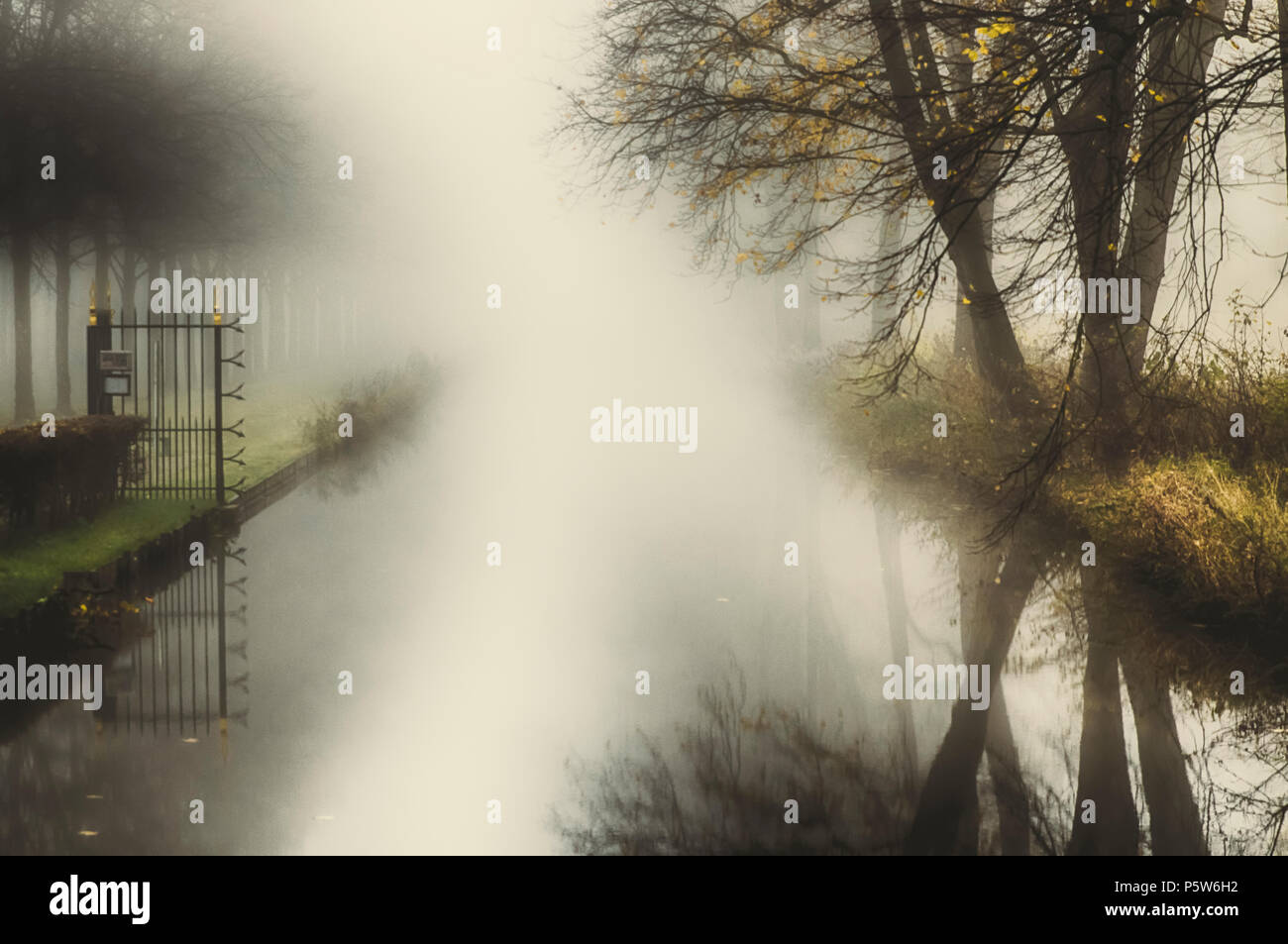 A water channel through forest in autumn Stock Photo - Alamy