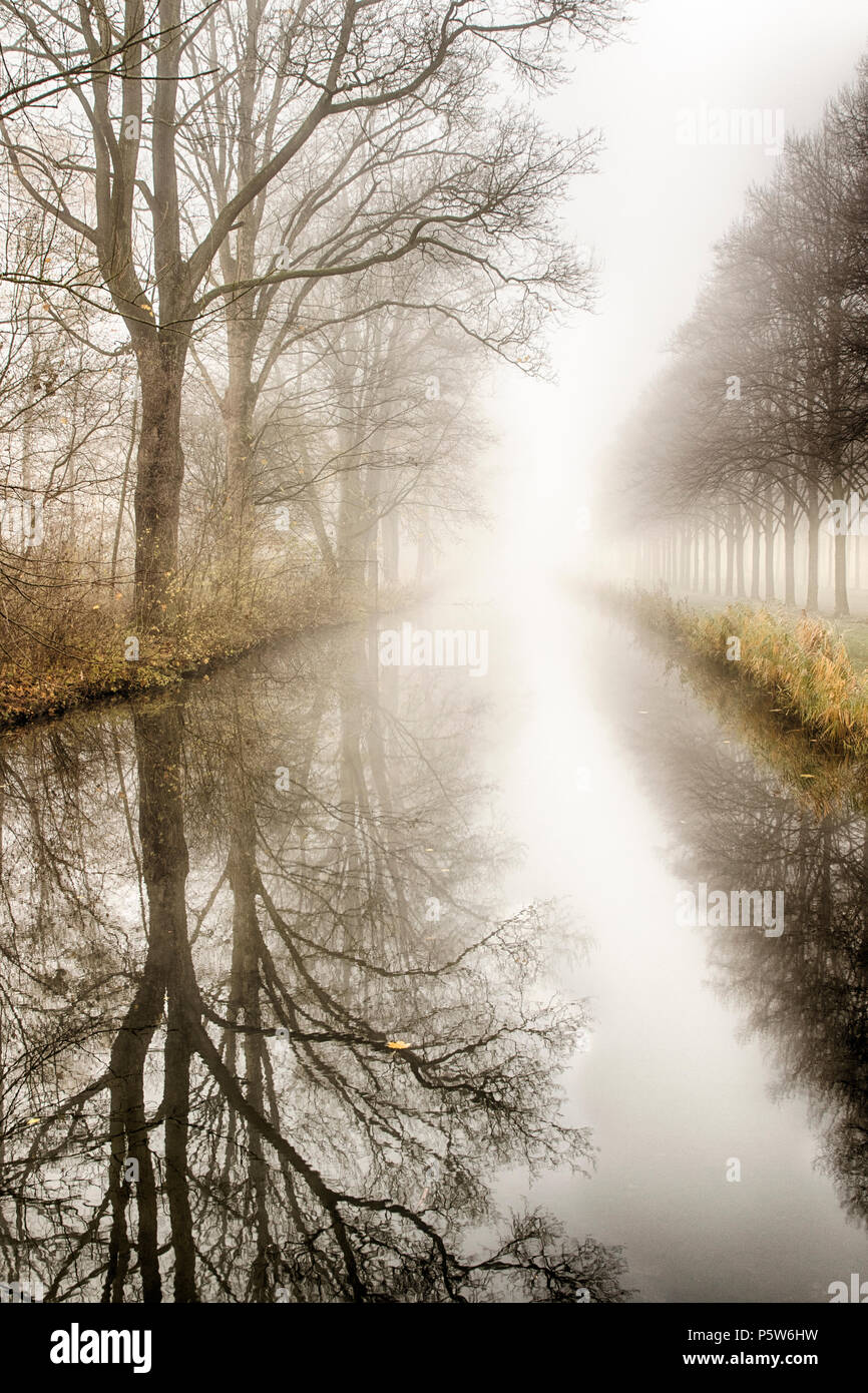 A water channel through forest in autumn Stock Photo - Alamy