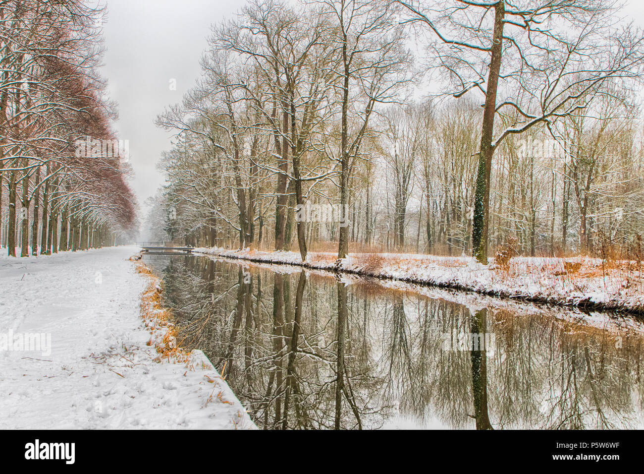A water channel through snowy forest Stock Photo - Alamy
