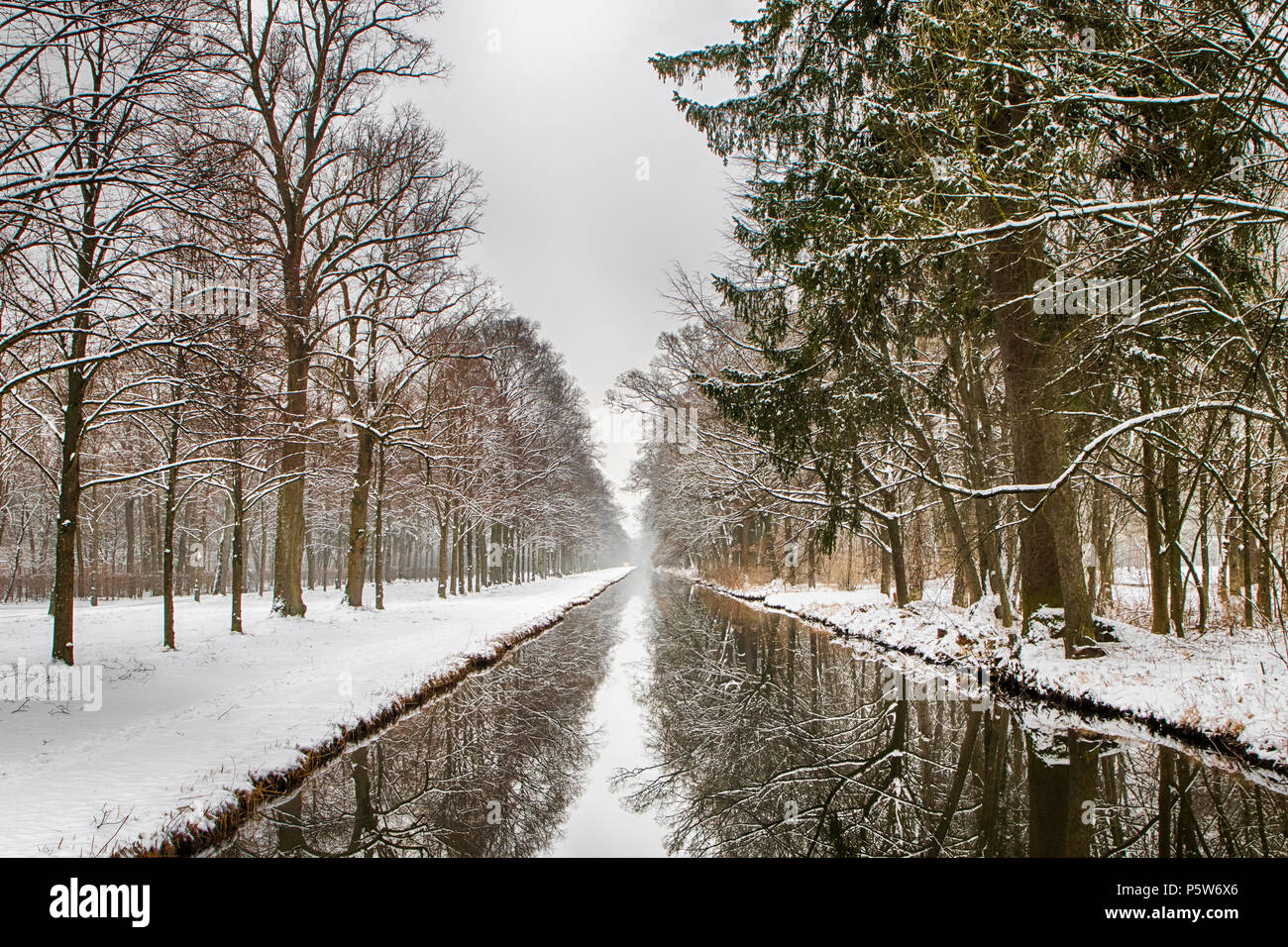 A water channel through snowy forest Stock Photo - Alamy