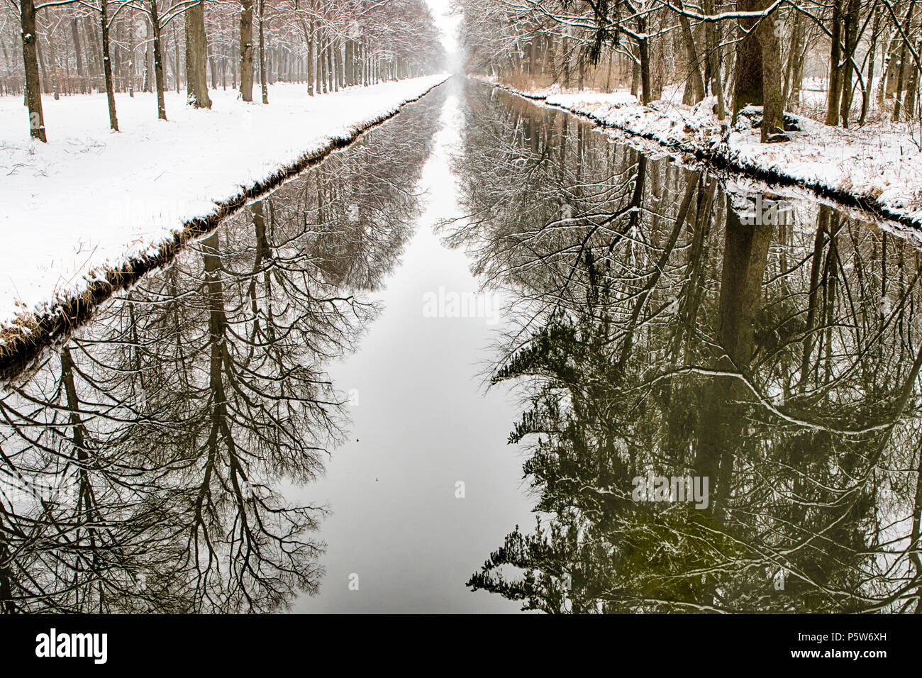 A water channel through snowy forest Stock Photo - Alamy