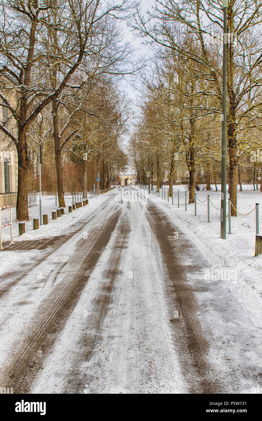 Snowy path into several trees in the forest Stock Photo - Alamy