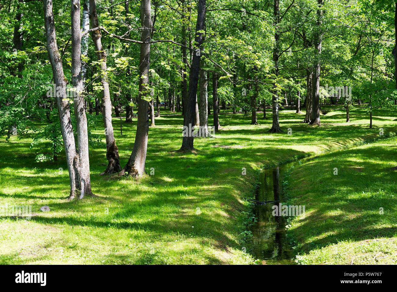 Artificial stream hi-res stock photography and images - Alamy