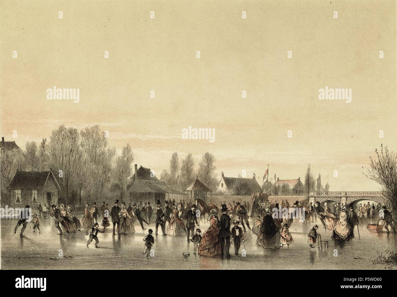 De vink hi-res stock photography and images - Alamy