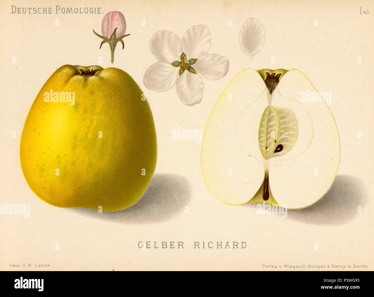 Richard apple hi-res stock photography and images - Alamy