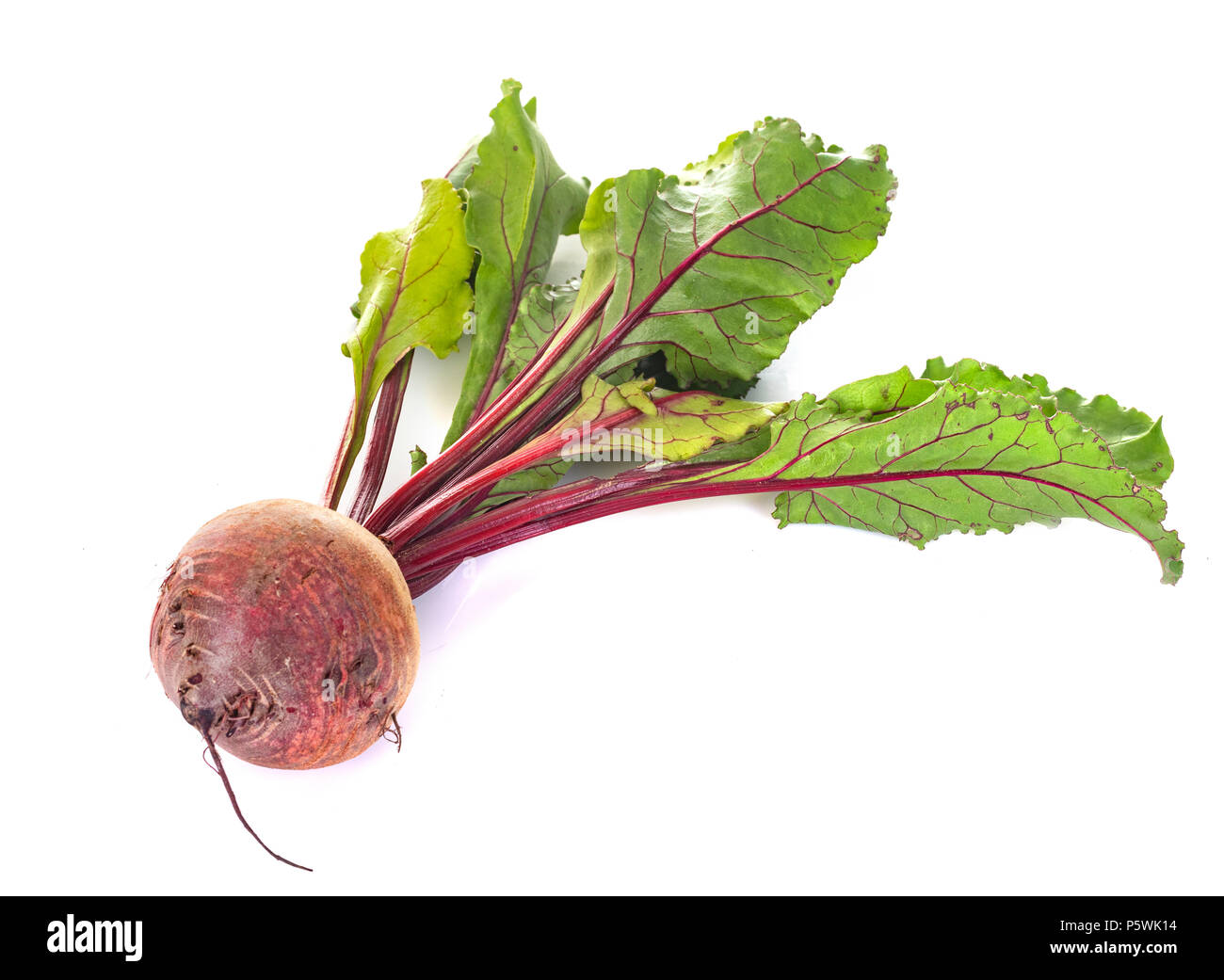 fresh beetroot in front of white background Stock Photo - Alamy