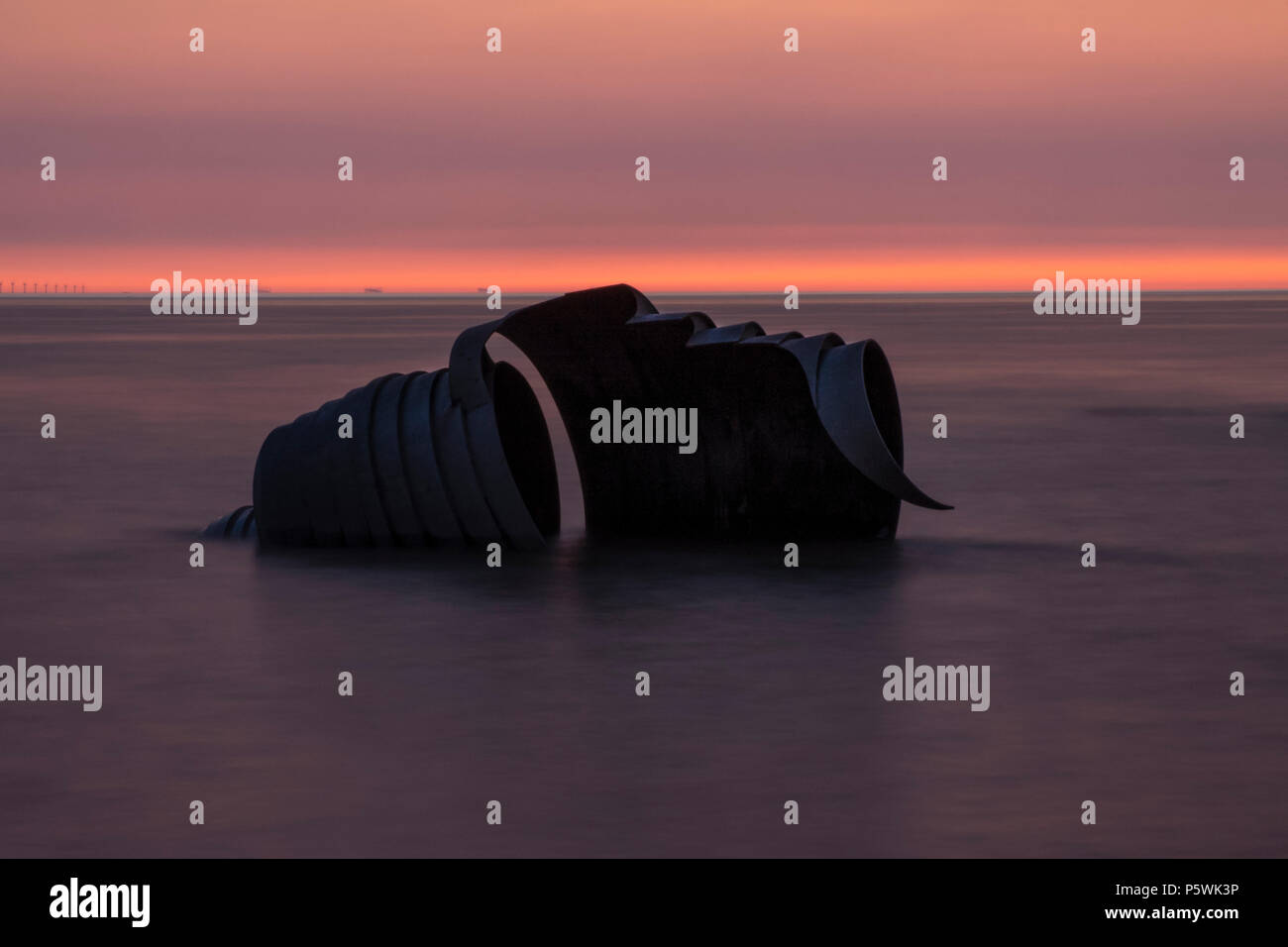 Marys Golden Shell High Resolution Stock Photography and Images - Alamy