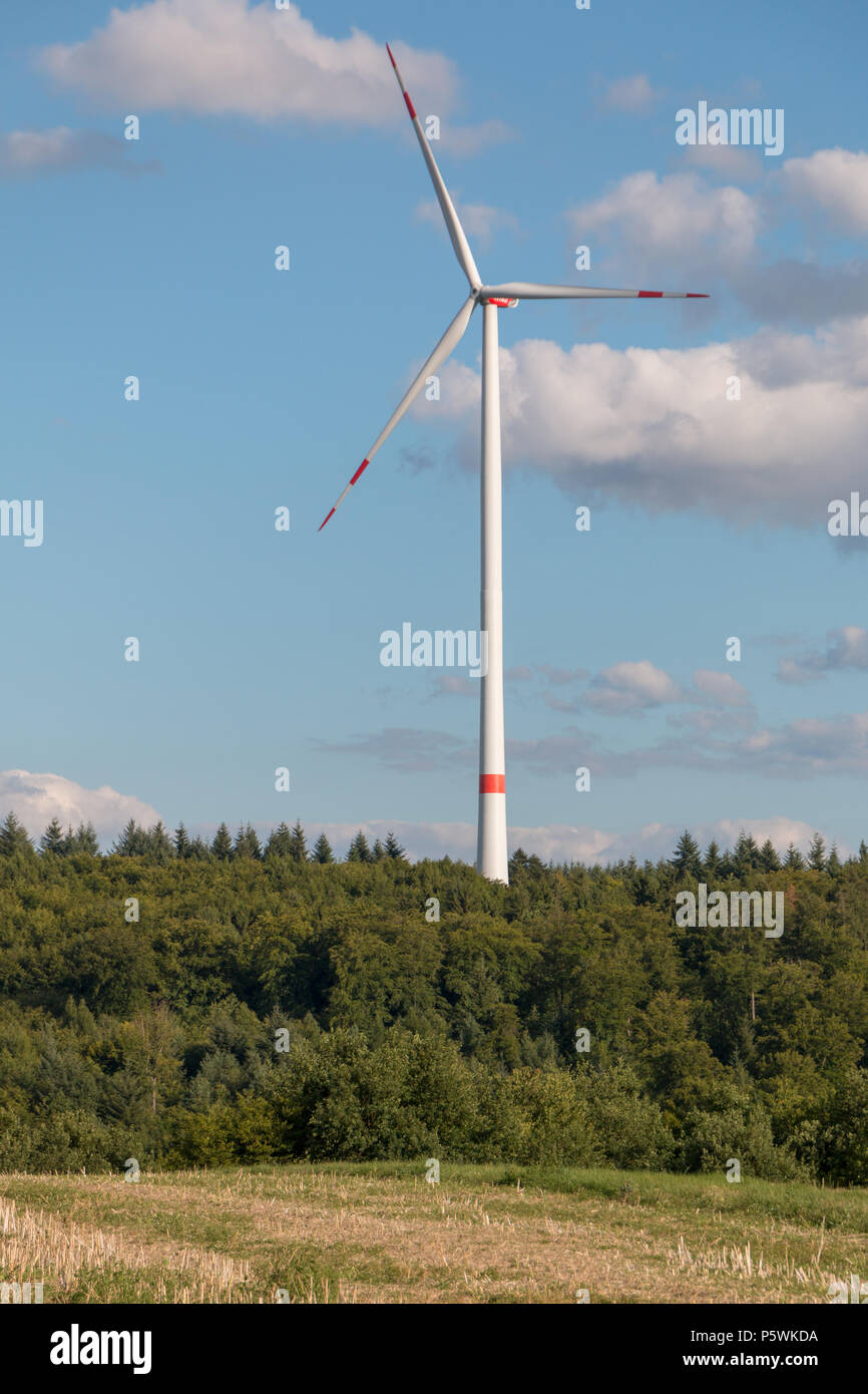 A wind turbine stands in the forest and generates green electricity ...