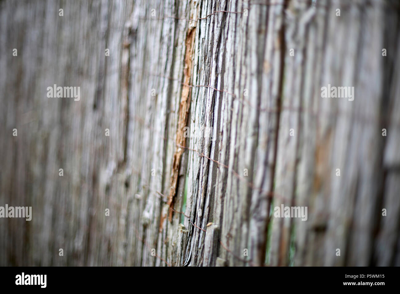 Cracked tree bark hi-res stock photography and images - Alamy