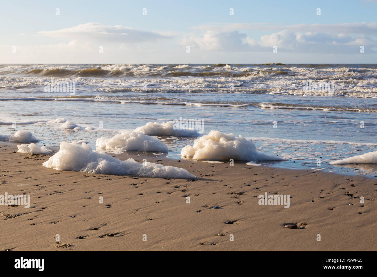 After storm in the North Sea. Sea foam on the beach in Hvide Sande ...