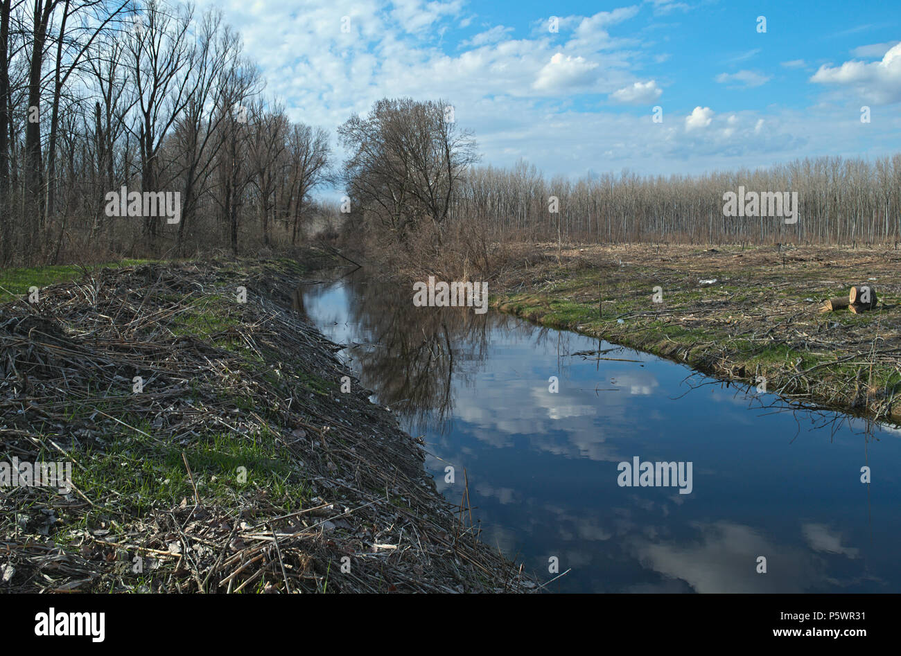 Irrigation canal during early spring, landscape view Stock Photo - Alamy