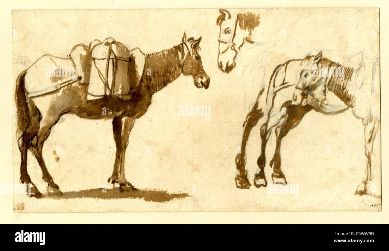N/A. English: Drawing of mules, including one full-length, brush ...