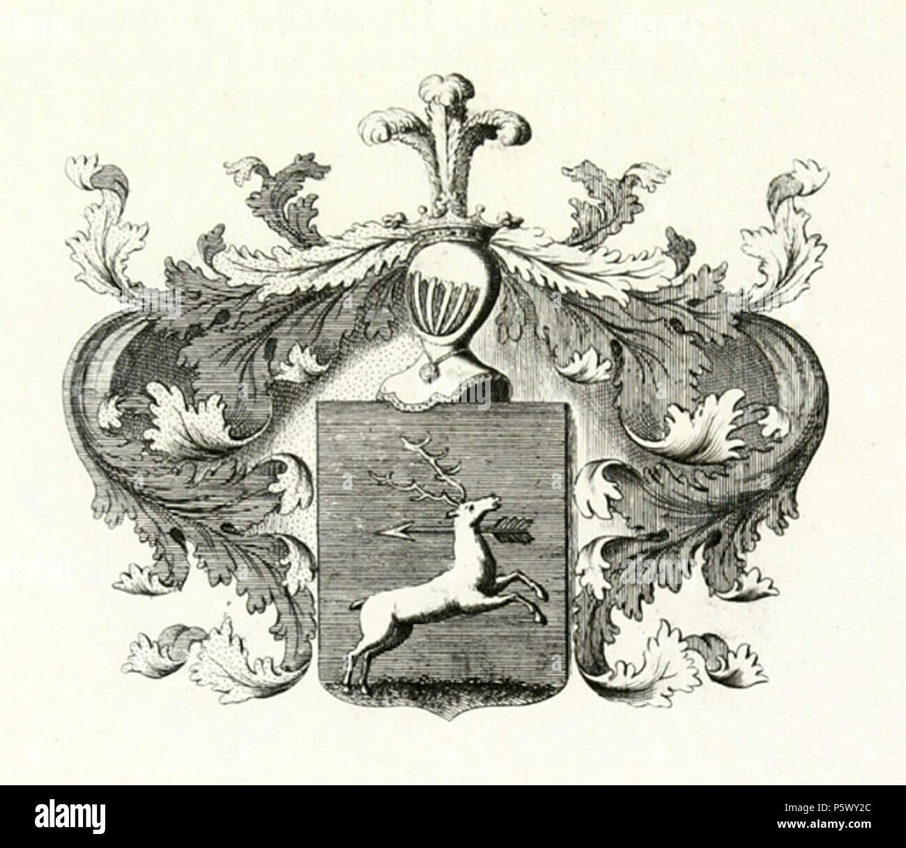 Mavrin hi-res stock photography and images - Alamy