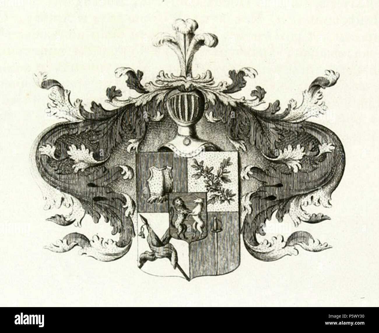 Mansurov hi-res stock photography and images - Alamy