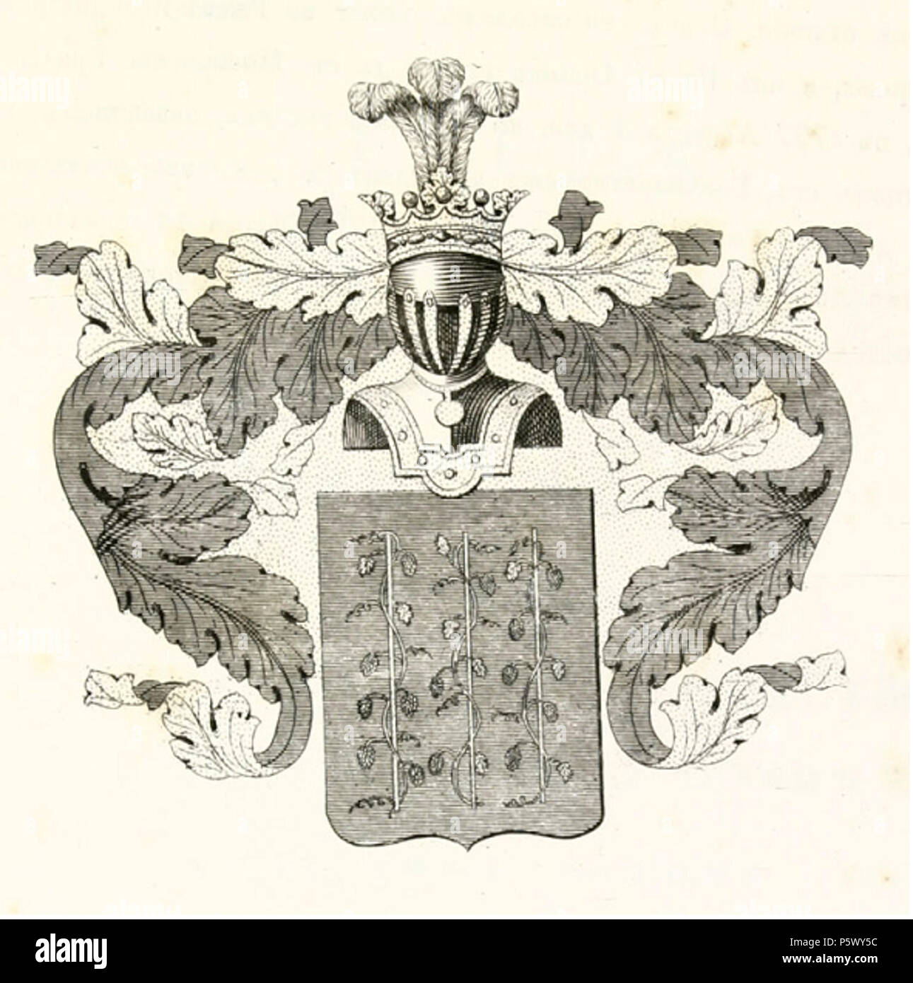 358 Coat of Arms of Orlov family (1807) 1 Stock Photo - Alamy