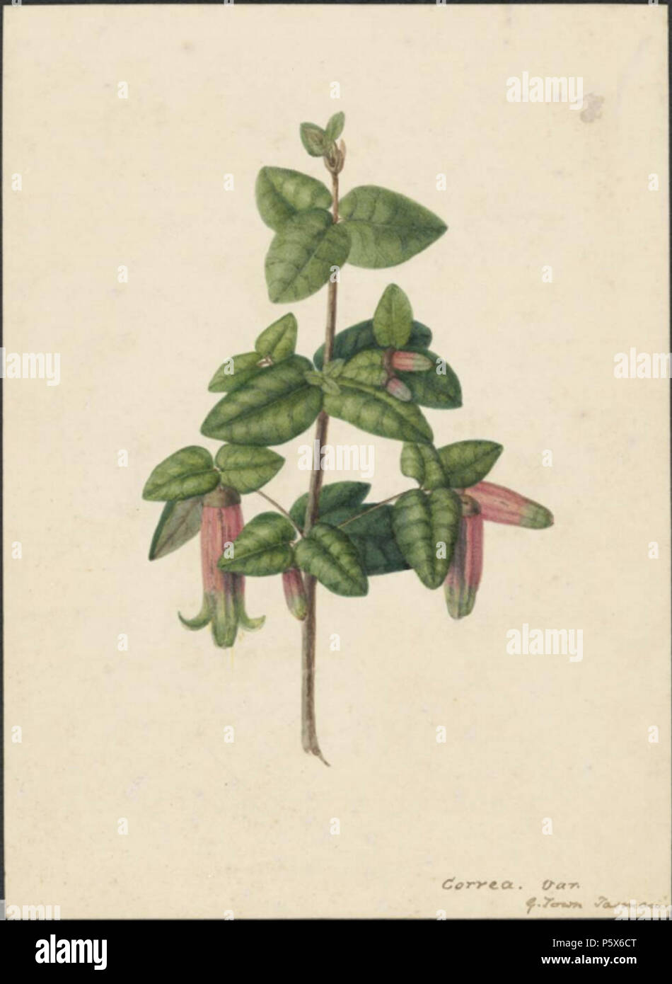 Fereday hi-res stock photography and images - Alamy