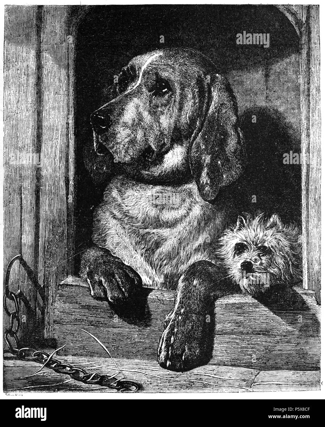 Impudence hi-res stock photography and images - Alamy