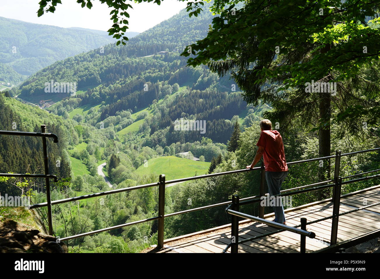 Hauptfall des todtnauer wasserfalls hi-res stock photography and images ...