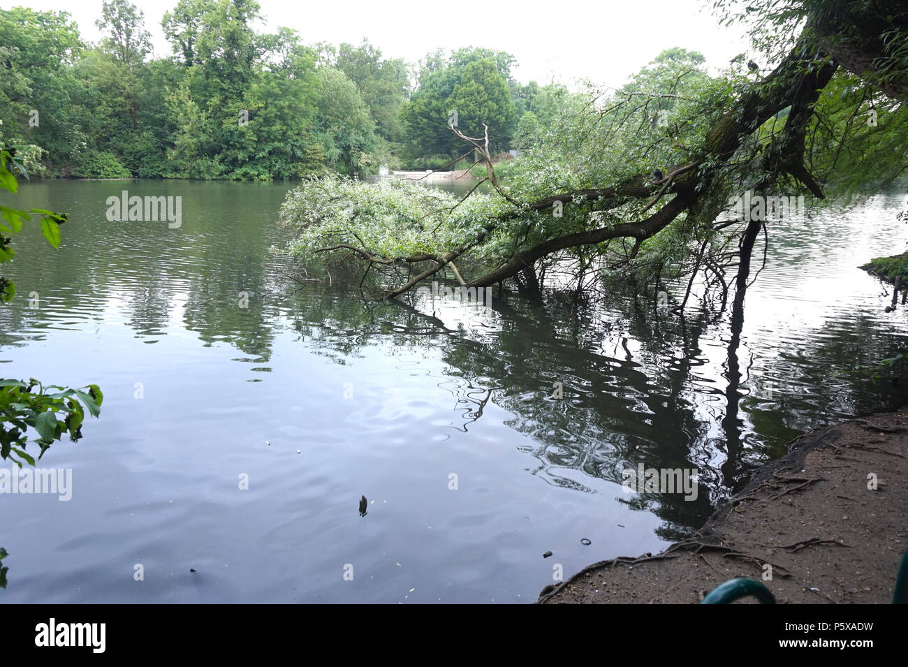 Crystal Palace Park, London, United Kingdom Stock Photo - Alamy