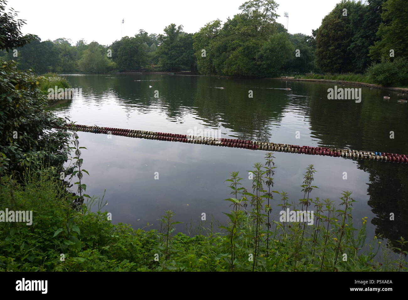 Crystal Palace Park, London, United Kingdom Stock Photo - Alamy