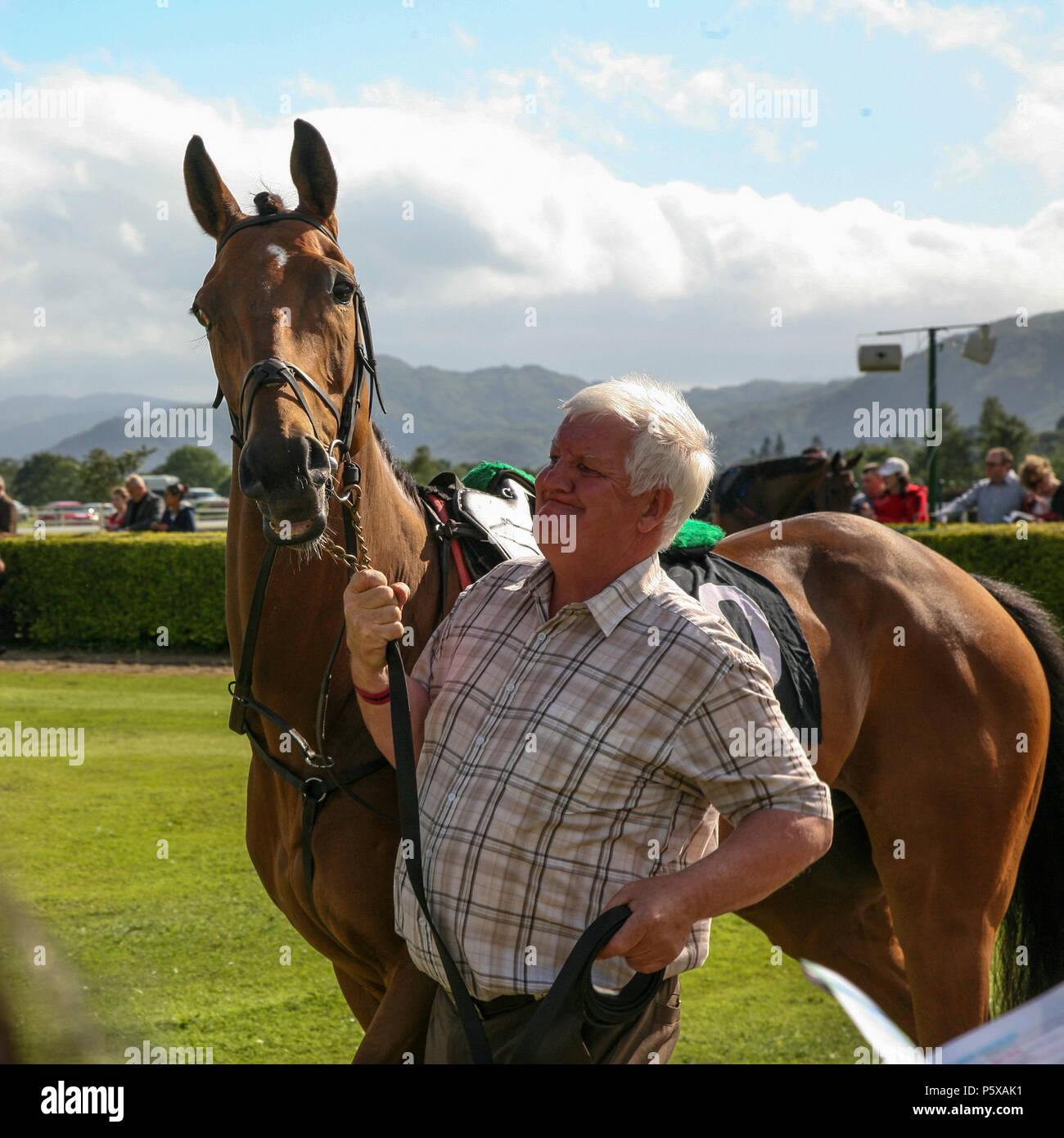 Thoroughbred racing hi-res stock photography and images - Alamy